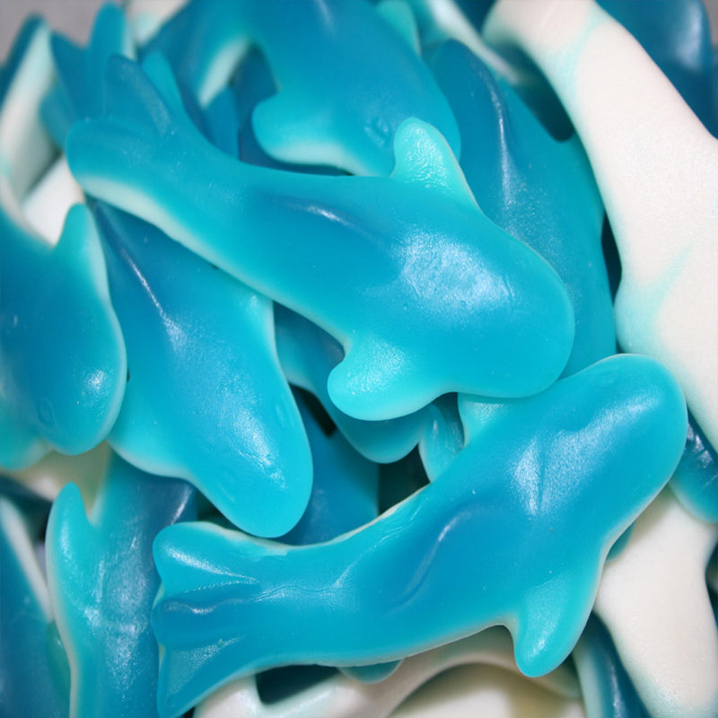 shark-jelly-sweets - The Snack Box